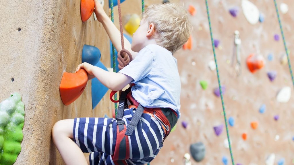 Western Australia – What Ability Foundation