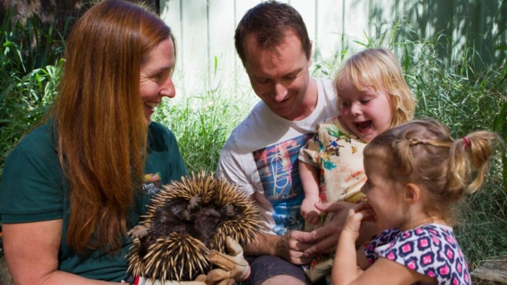 Perth Zoo - What Ability Foundation